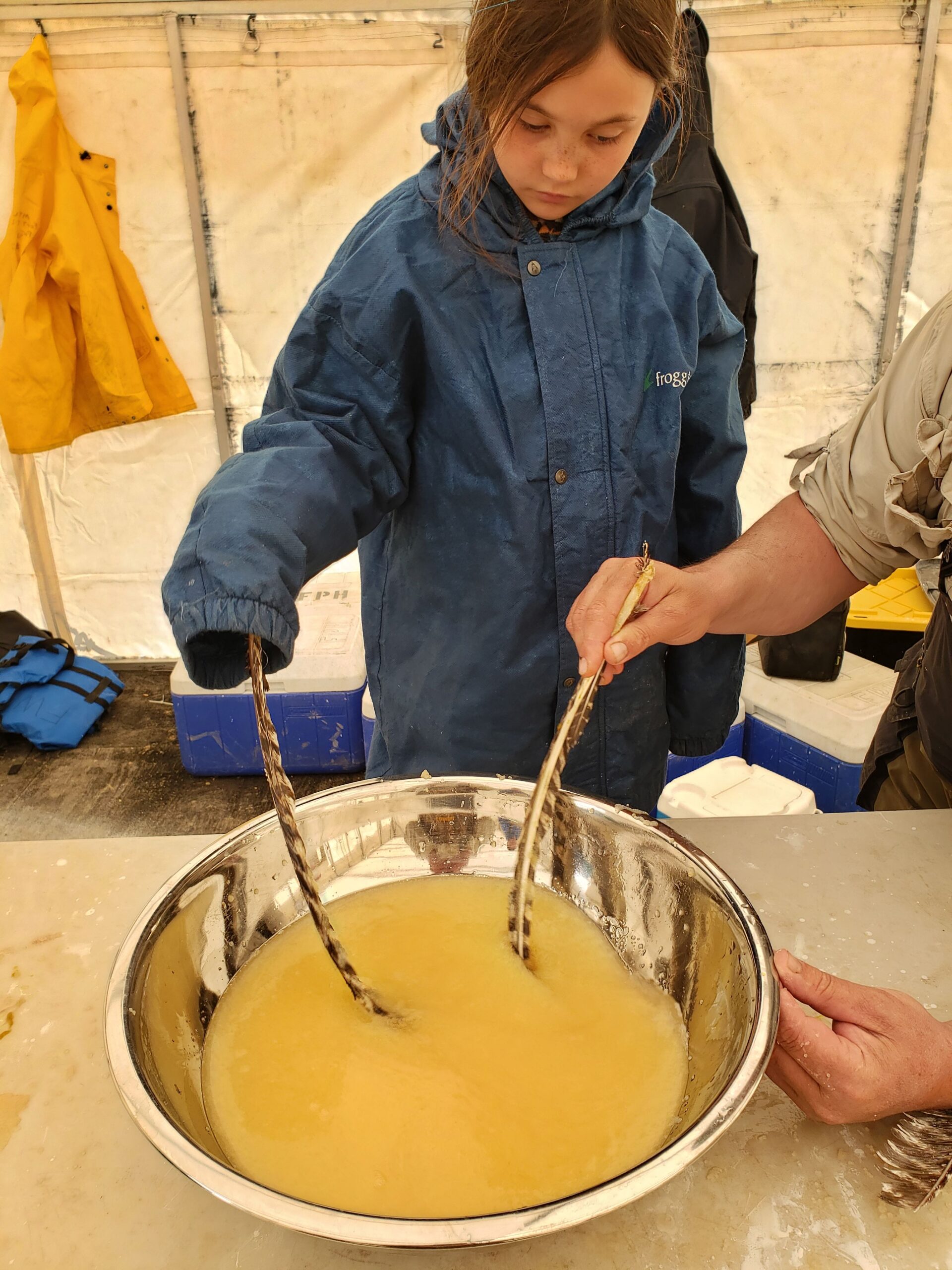 SPAWNING – Montana Walleyes Unlimited