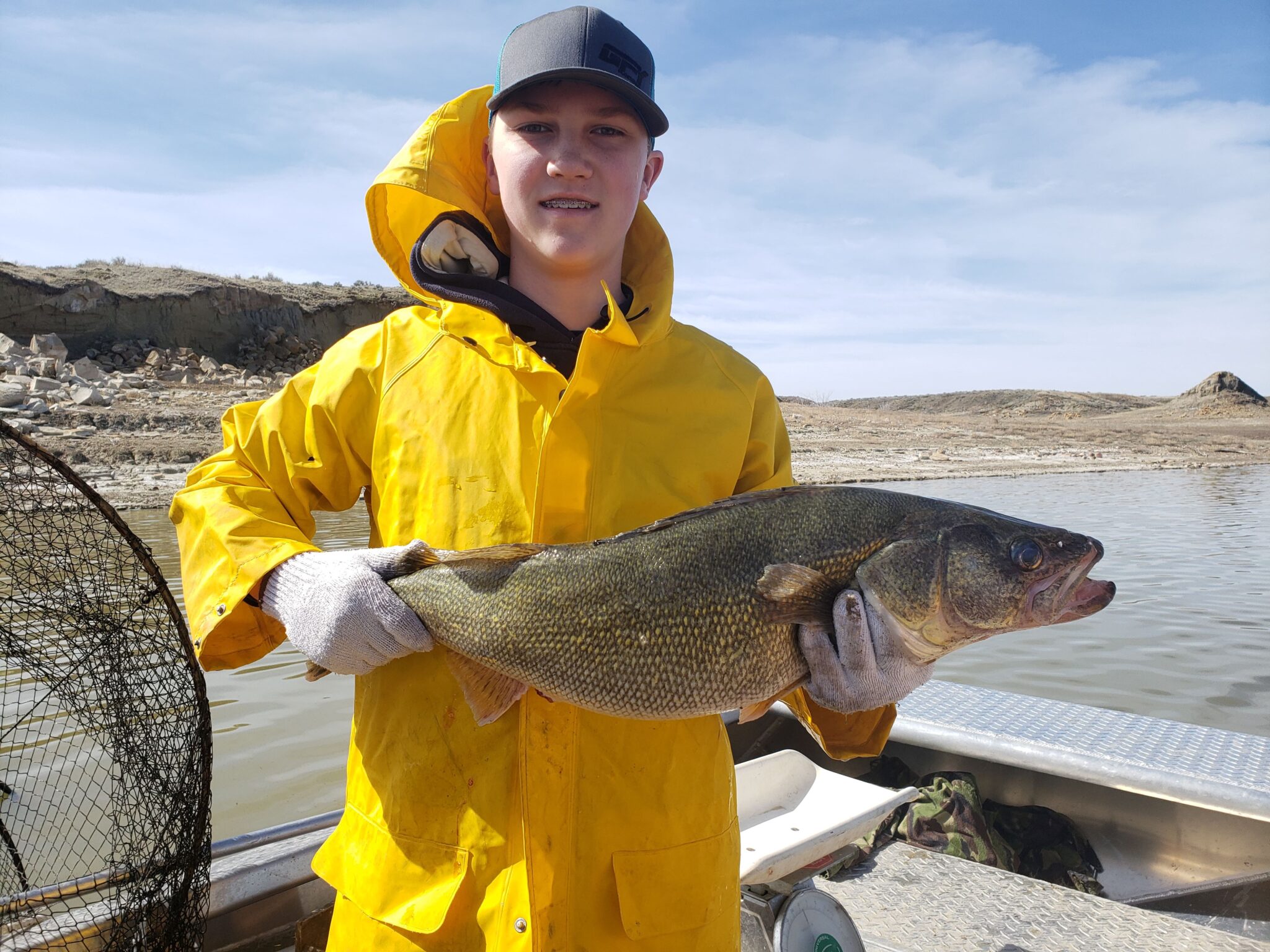 SPAWNING – Montana Walleyes Unlimited