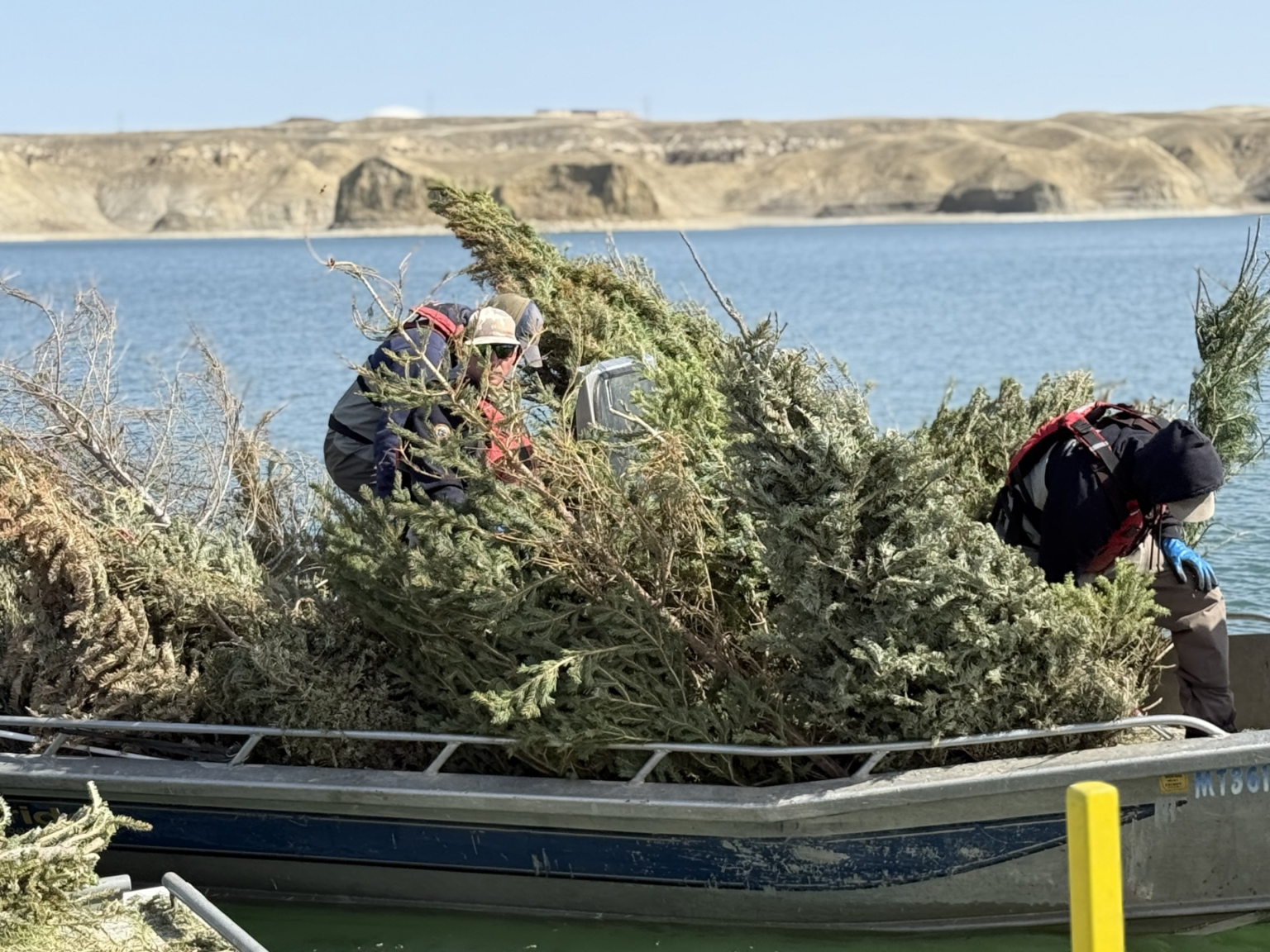 Chapter Projects – Montana Walleyes Unlimited
